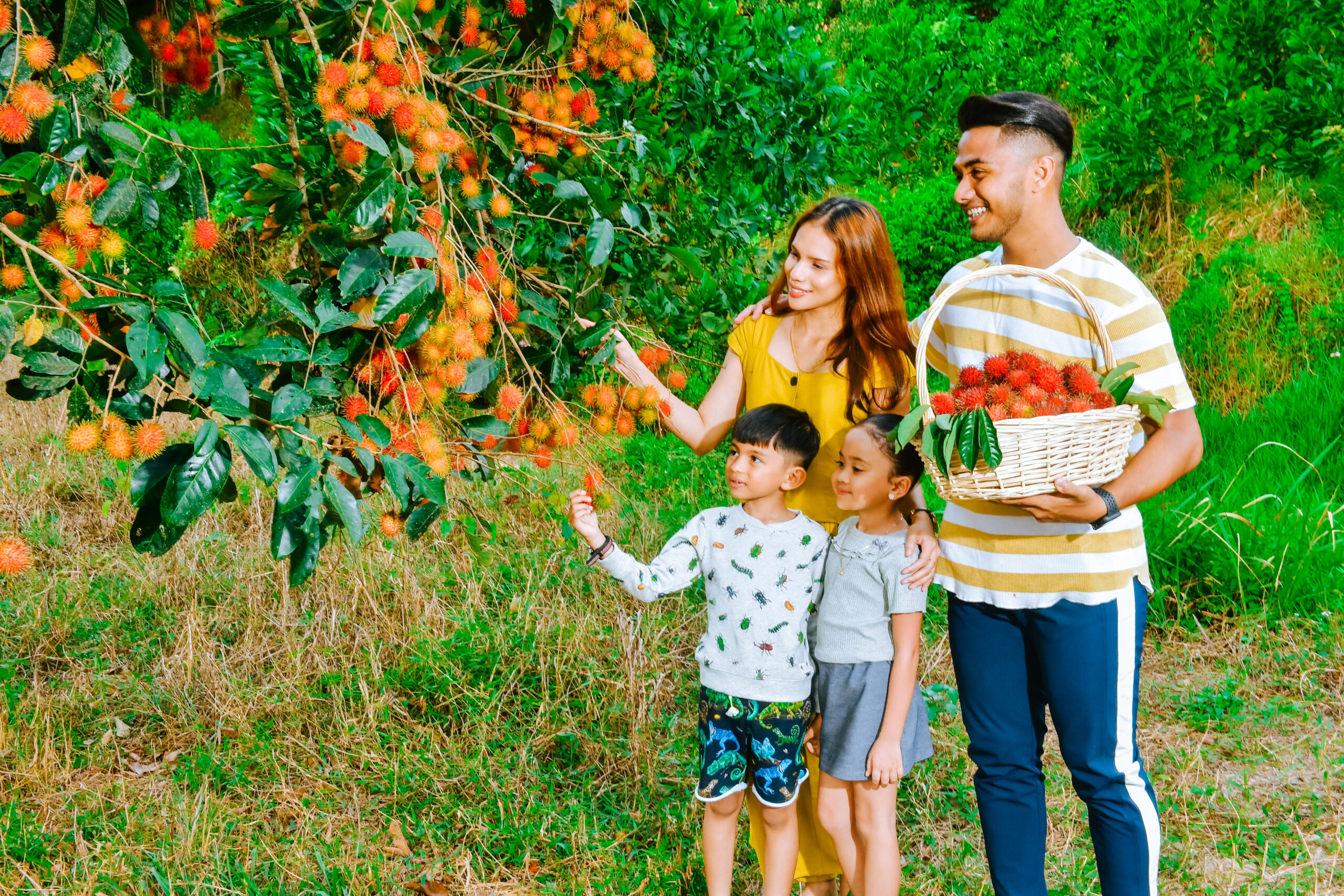 Desaru Fruit Farm - Junglewalla Mangrove Tour ( Tuesday - Sunday ...